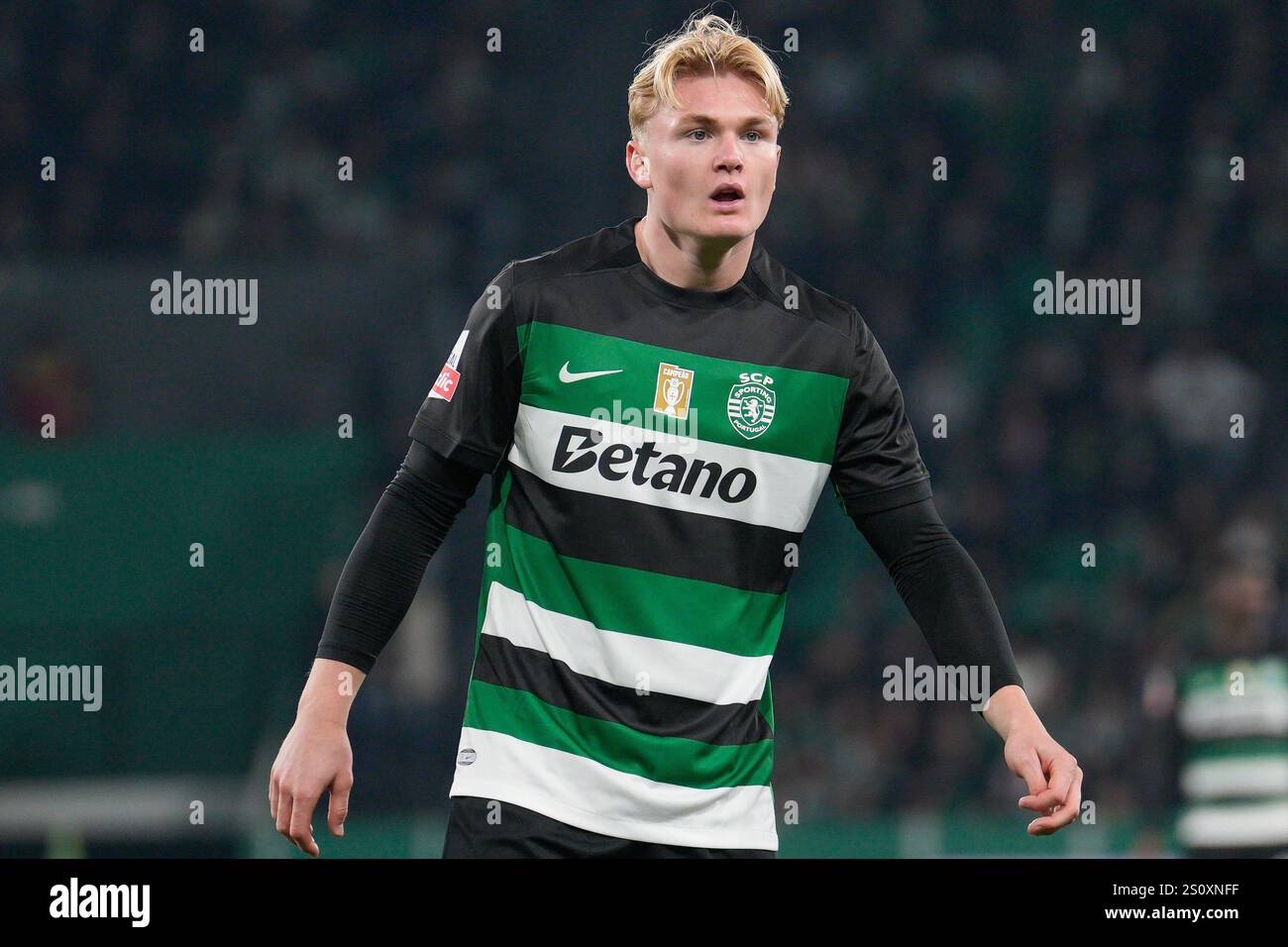 Lisbon, Portugal. 29th Dec, 2024. Conrad Harder of Sporting CP in ...