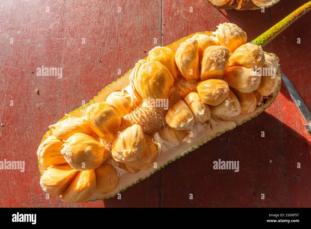 Cempedak artocarpus integer family hi-res stock photography and images ...