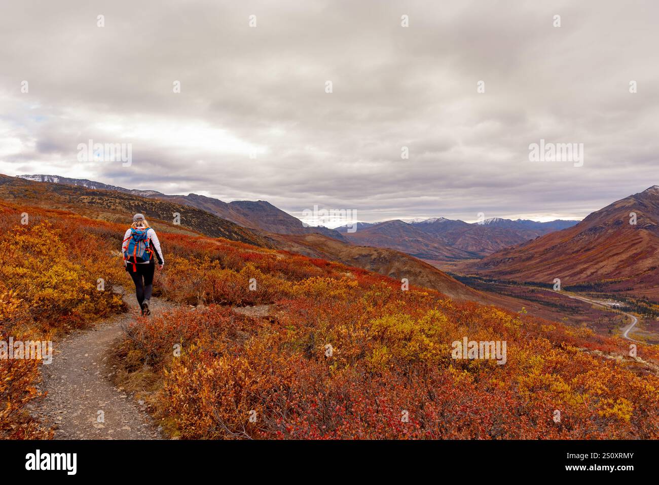 Hiking in the magnificent mountains of Tombstone Territorial Park in ...