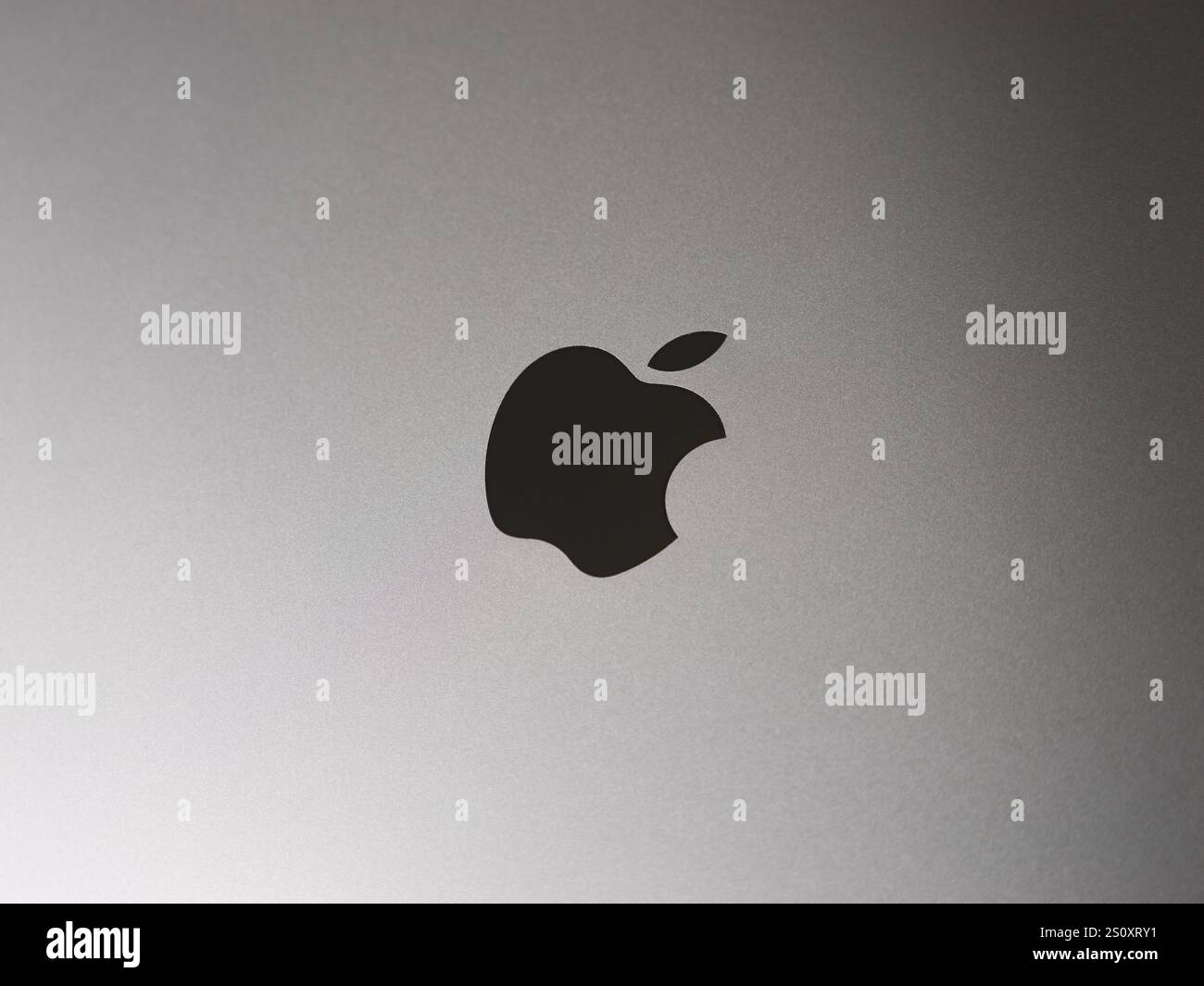 Apple logo sign on a MacBook Pro in the Space Gray. Close up of the ...