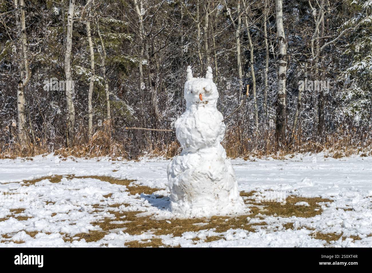 City park snowman made after spring snowfall with a wood background ...