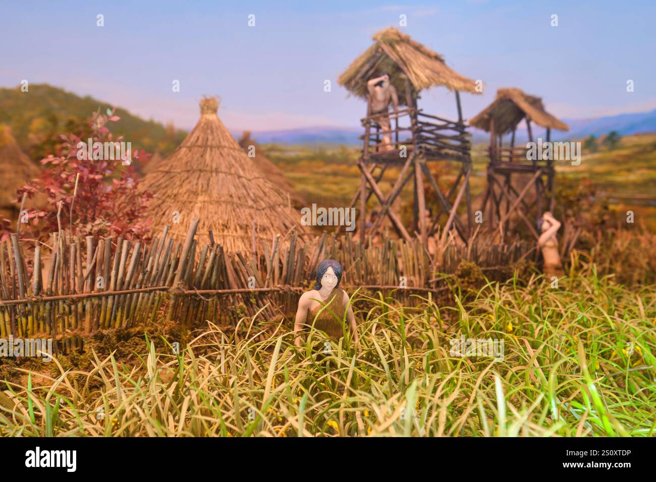 View of typical watch towers at the Majeon-ri site. A rural, farming ...