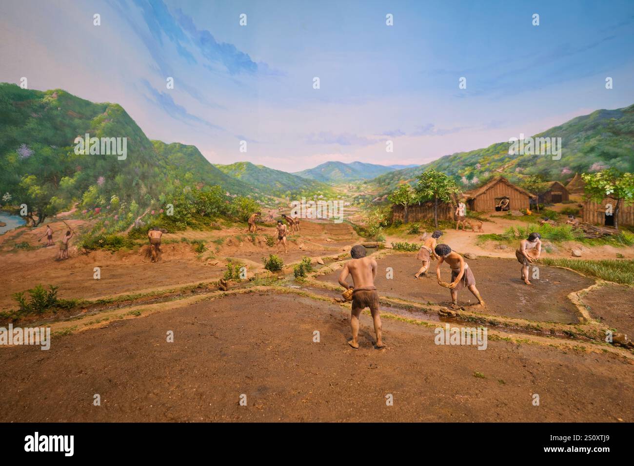 Village workers busy tending to rice paddies at a farm. A diorama at ...