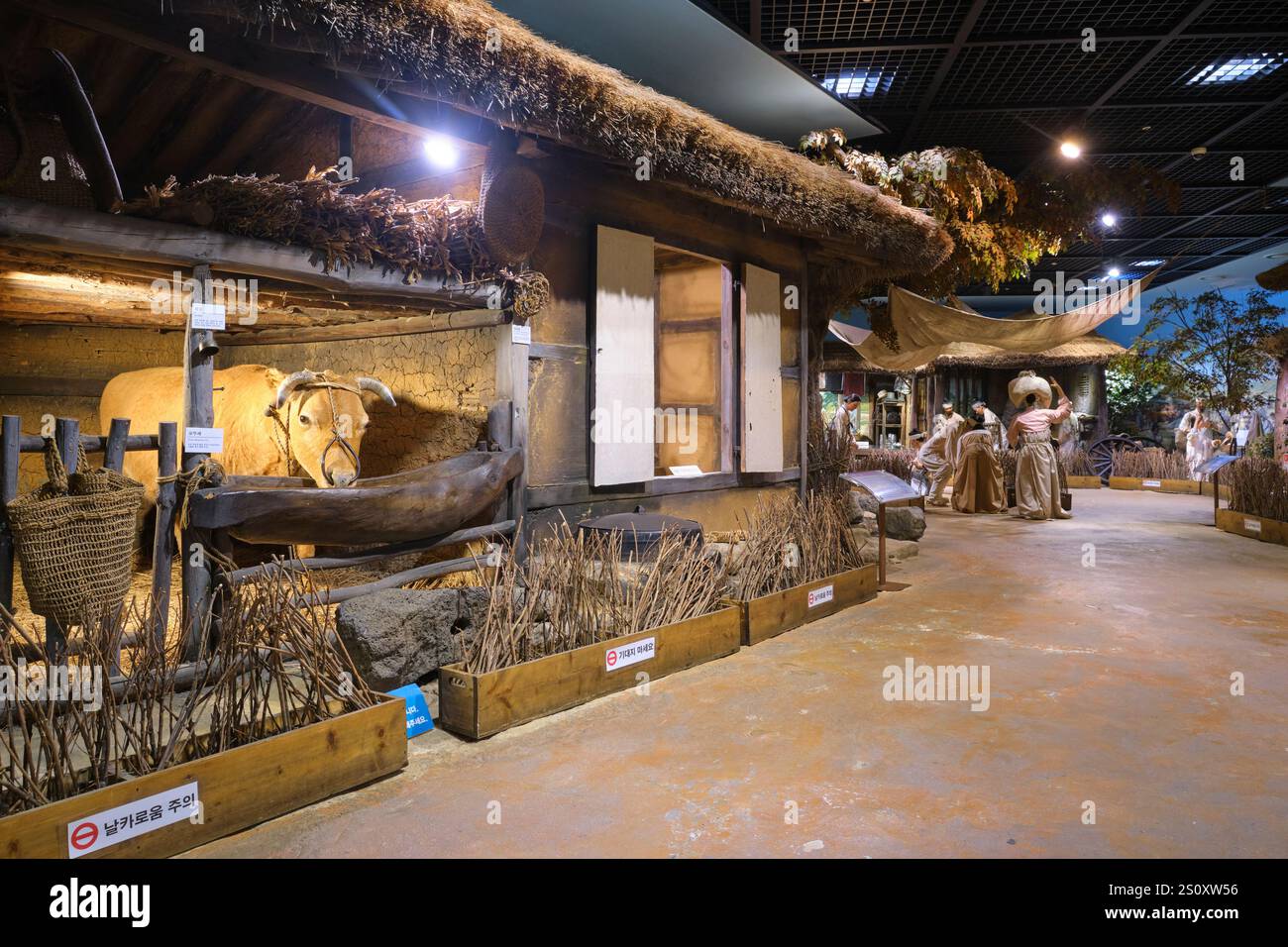 A cow, livestock in a typical village stable, called a Saranchae. A ...