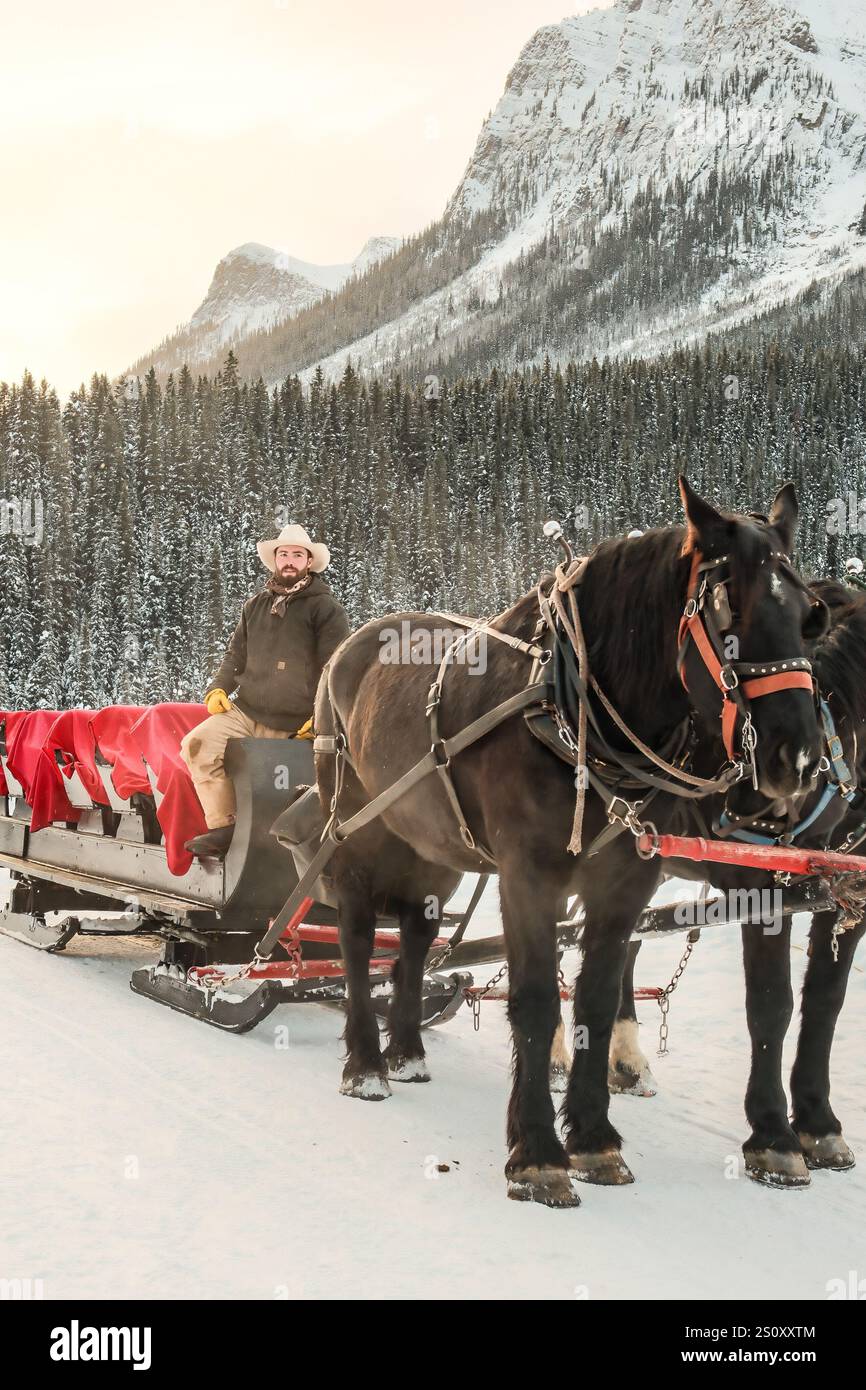Horse Sleigh Ride at Lake Louise, Banff, Alberta, Canada Stock Photo ...