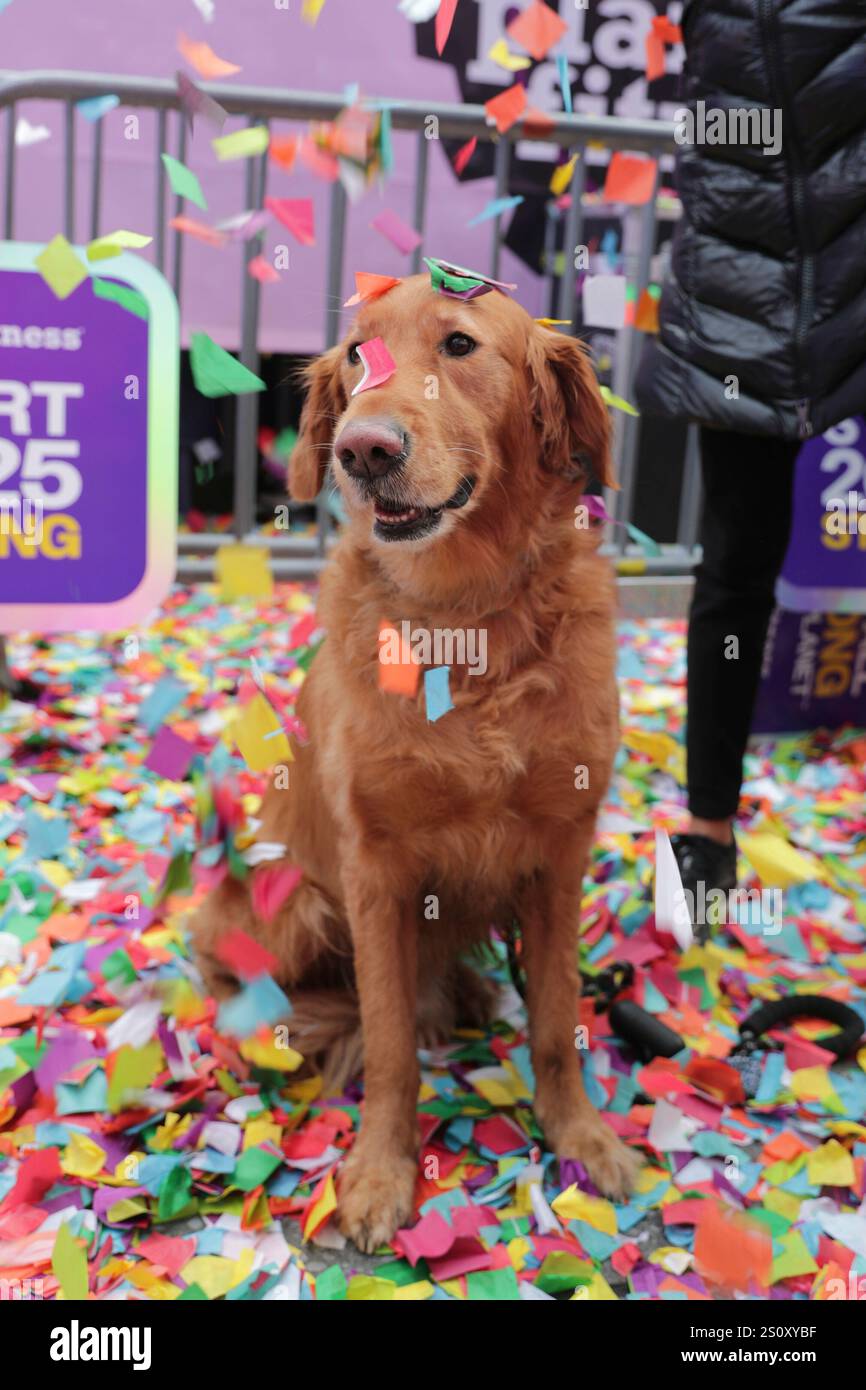 NEW YORK, NEW YORK - DECEMBER 29: People participate in the New Year's ...