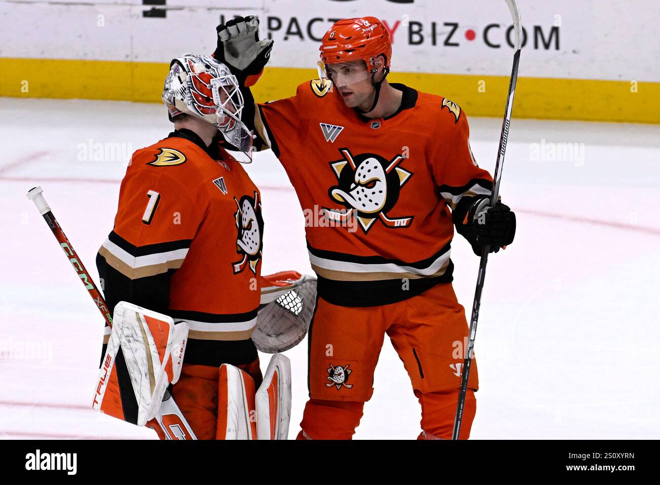 Anaheim Ducks defenseman Brian Dumoulin (6) celebrates with goaltender ...
