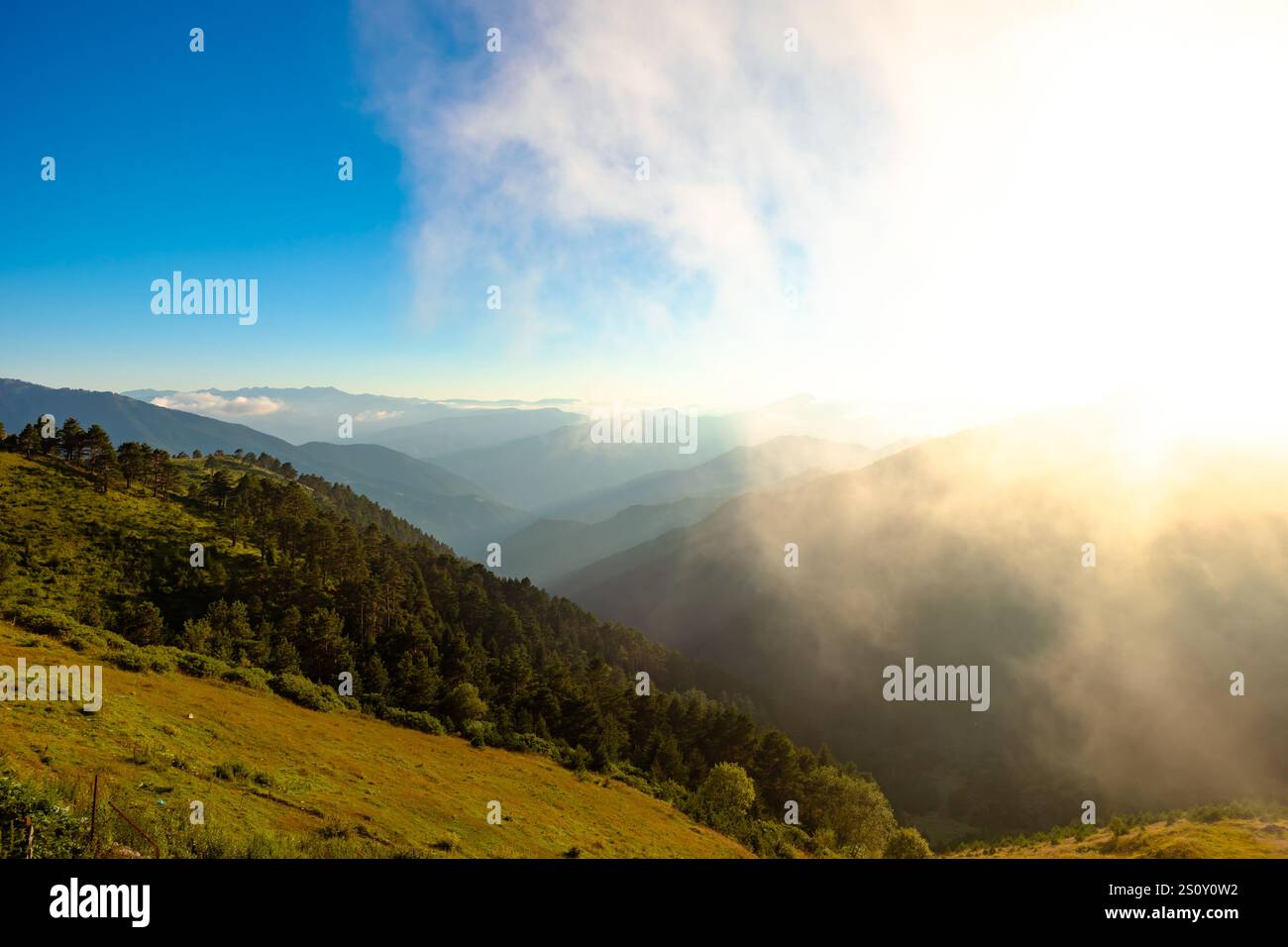 Nature background photo. Forest covered mountain range with haze at ...