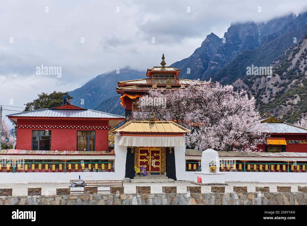Spring in Tibet Nyingchi, blossom flowers in a temple Stock Photo - Alamy