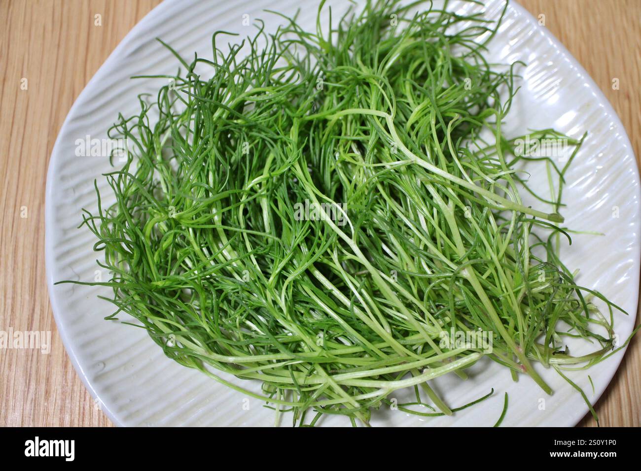 Japanese ingredients: okahijiki (land seaweed Stock Photo - Alamy