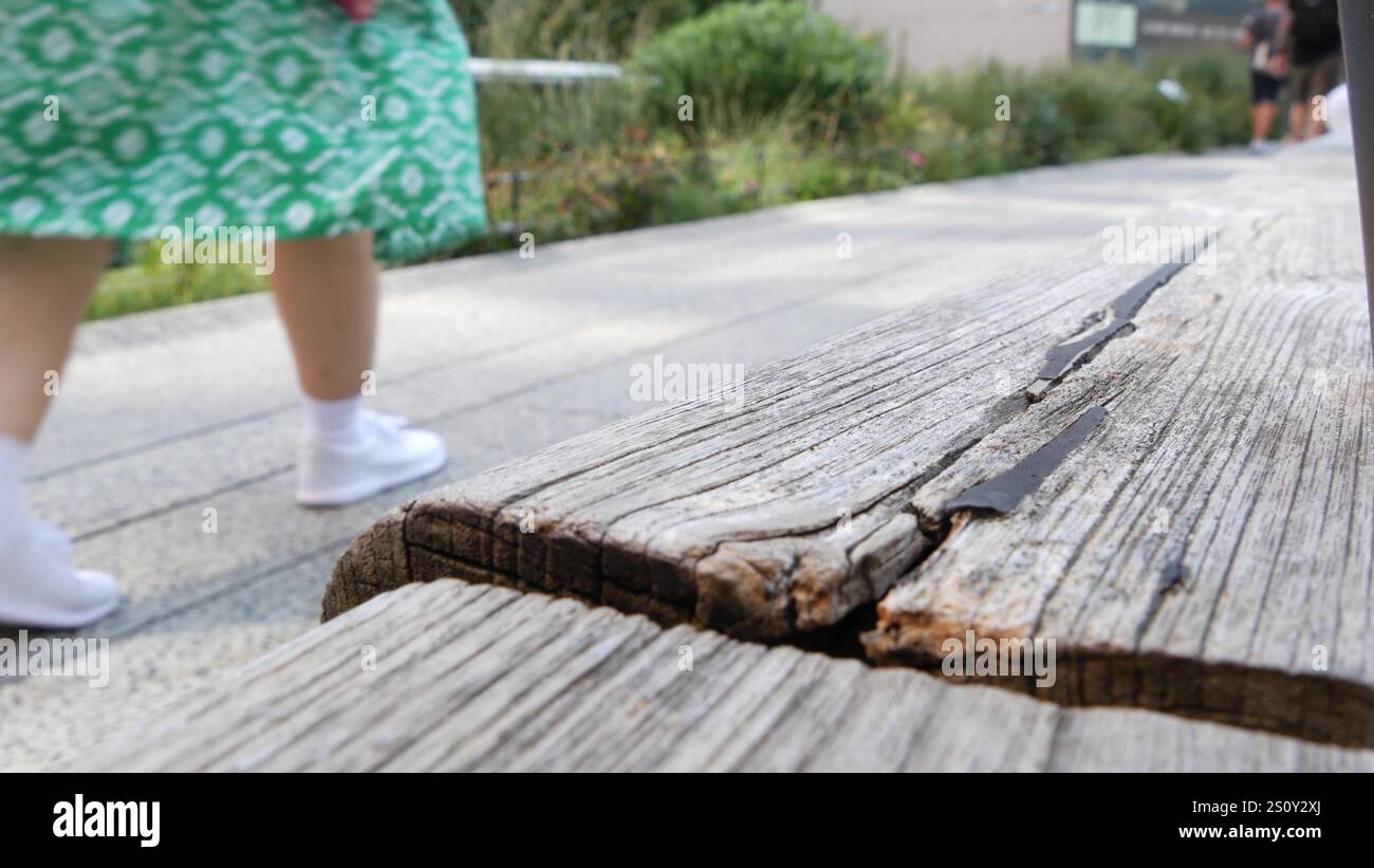 New York City High Line elevated greenway, Manhattan Midtown, USA ...