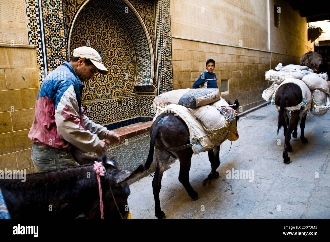 donkeys and people roam the narrow streets of Fes's Medina ( old city ...