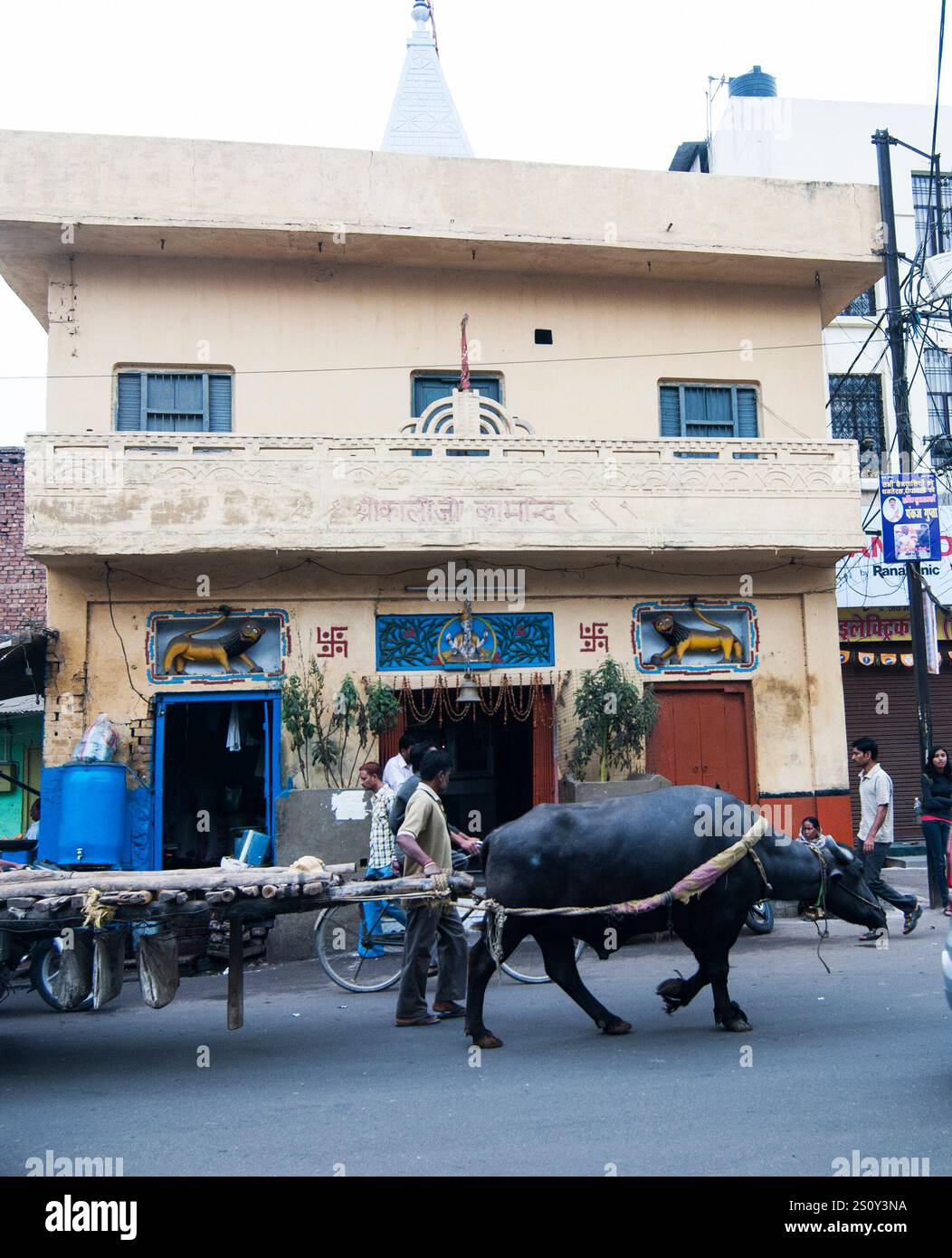 Daily scenes in the center of Lucknow, India Stock Photo - Alamy
