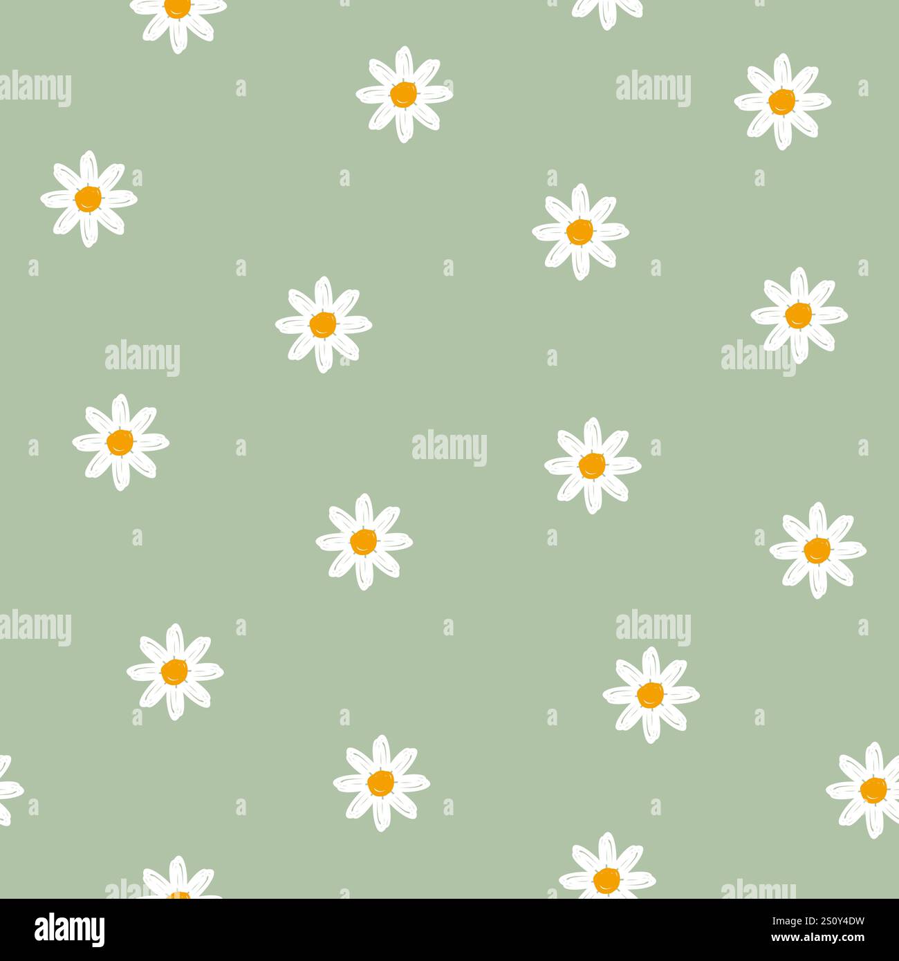 hand drawn daisy flower seamless pattern vector, simple cute flower ...