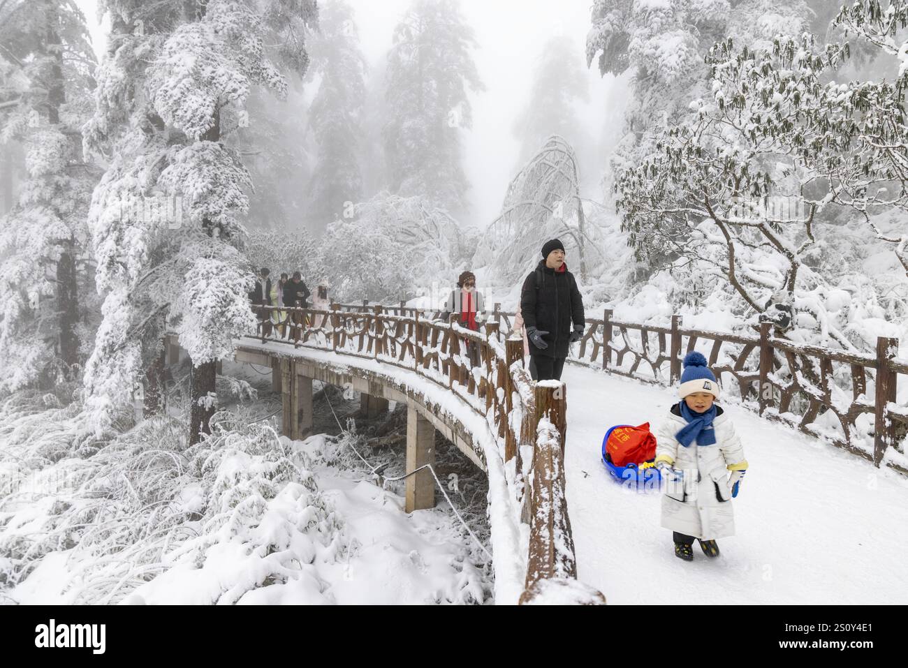 Tourists admire snow scenery at a forest park in Meishan City ...