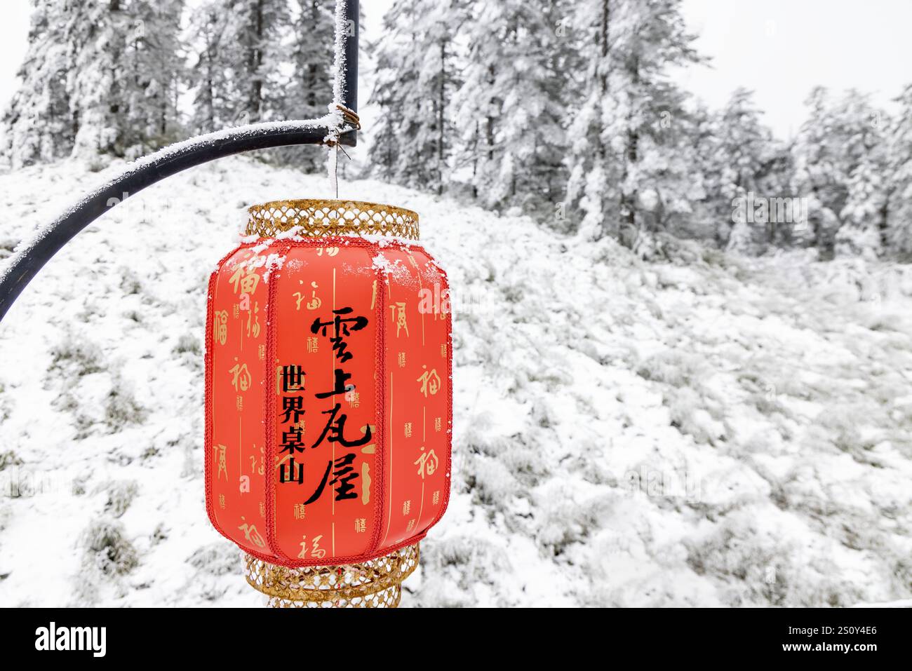 Tourists admire snow scenery at a forest park in Meishan City ...