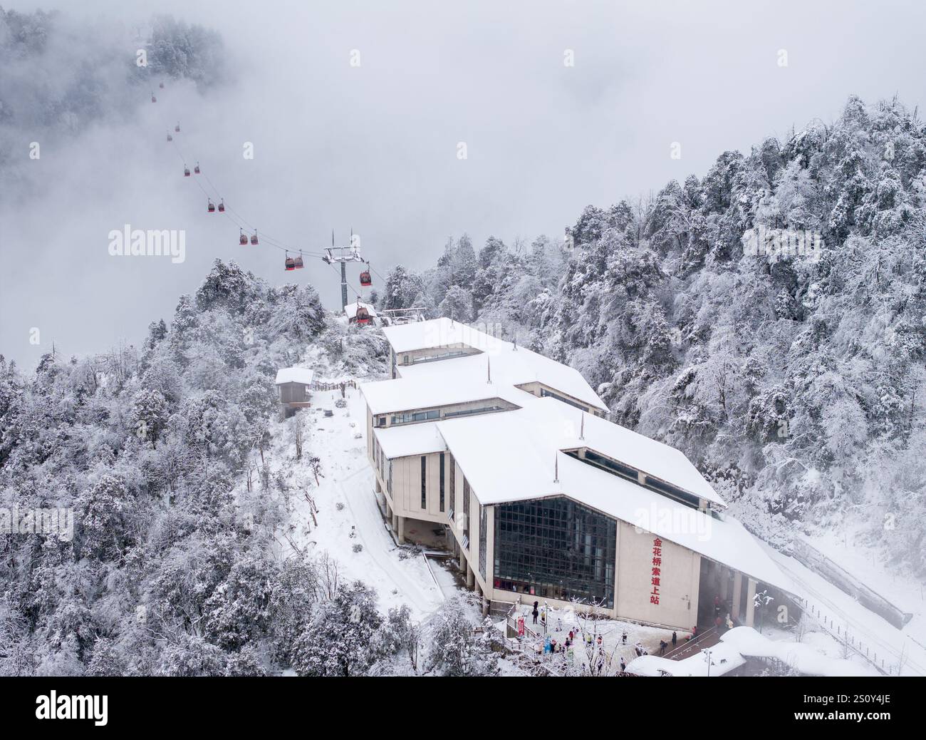 Tourists admire snow scenery at a forest park in Meishan City ...