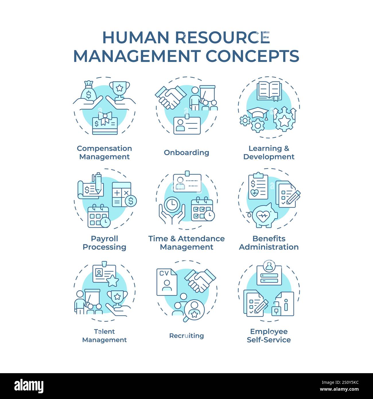 Human resource management soft blue concept icons Stock Vector Image ...