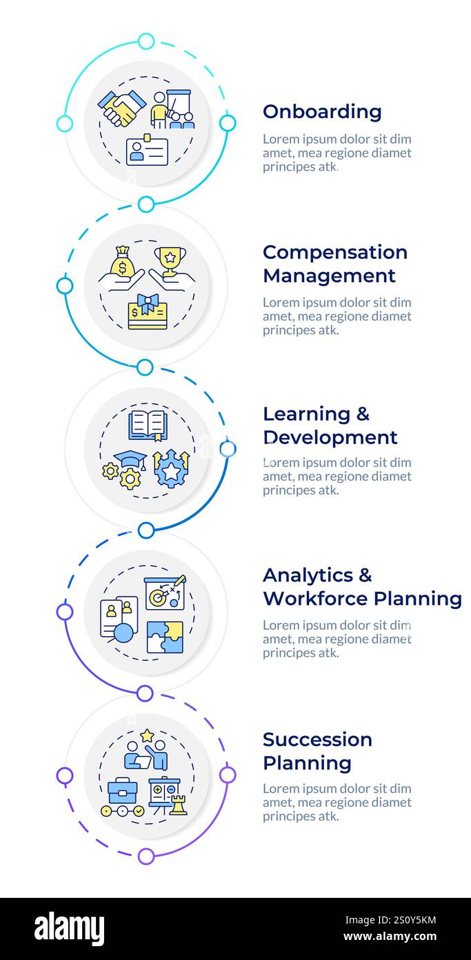 HRMS infographic vertical sequence Stock Vector Image & Art - Alamy