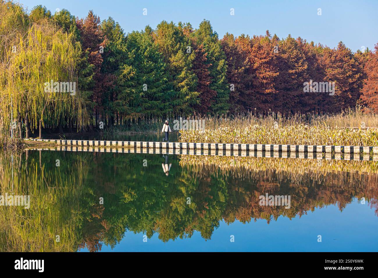 Tourists admire winter scenery of a wetland park in Suzhou City, east ...