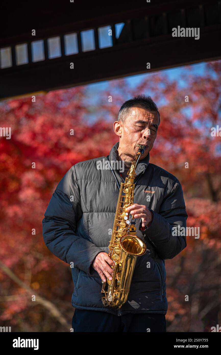 Tourists admire winter scenery of a wetland park in Suzhou City, east ...