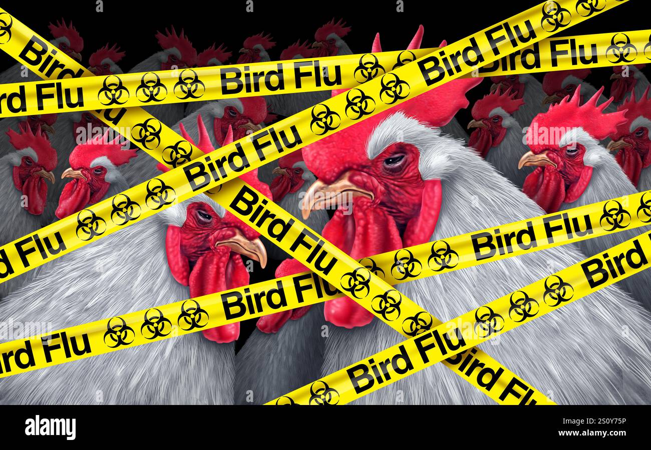 Bird Flu Biohazard and Avian influenza crisis as a virus contamination ...