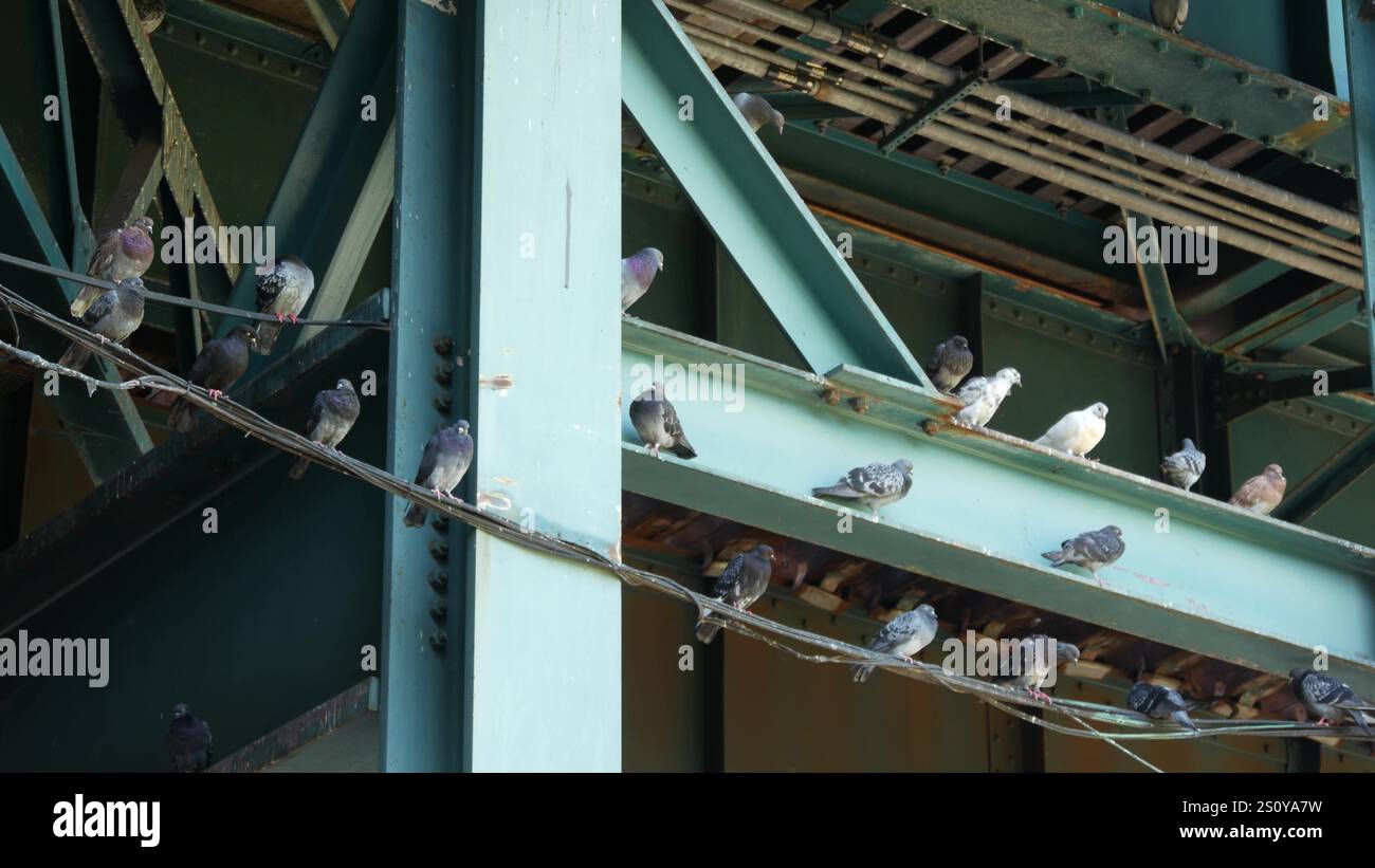 New York elevated subway, metropolitan bridge, metro track above street ...