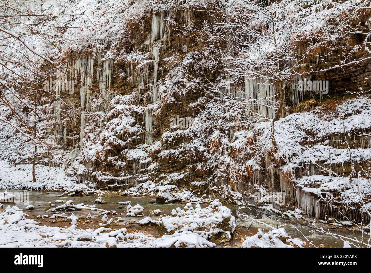 A forest stream flows by a cliff with icicles and snow Stock Photo - Alamy