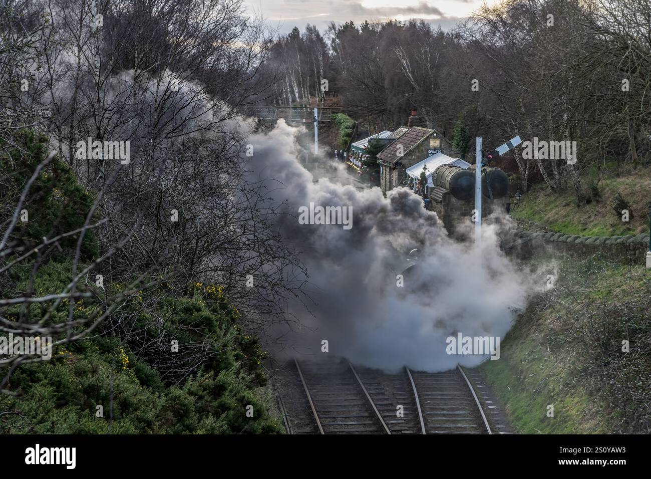 Steam at Tanfield Railway Stock Photo - Alamy