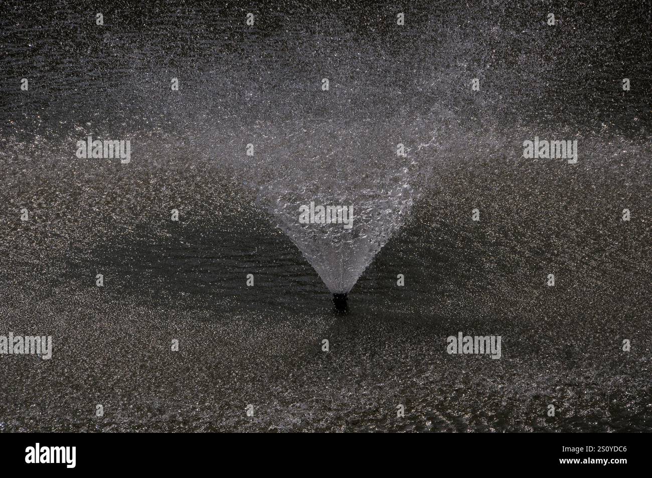 1500s water spout hi-res stock photography and images - Alamy