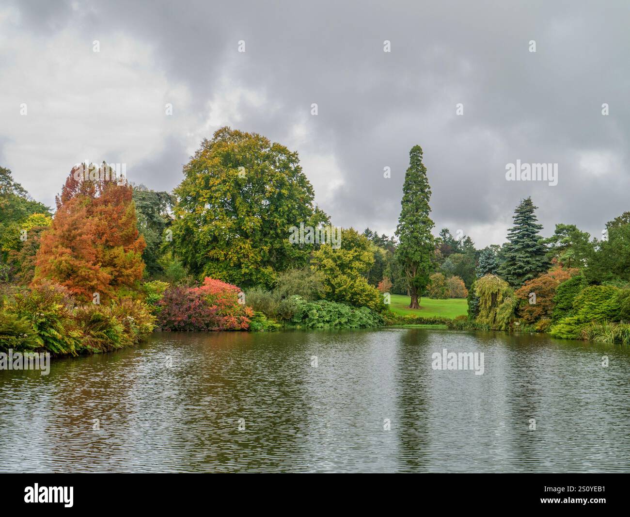 Autumn colour by the lake in the grounds of Sandringham House, Norfolk ...
