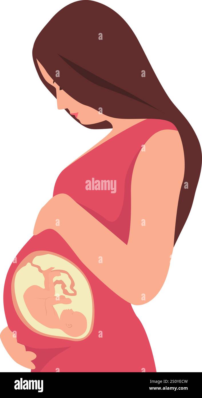 A pregnant woman touching her belly. A baby in the womb is in the fetal ...