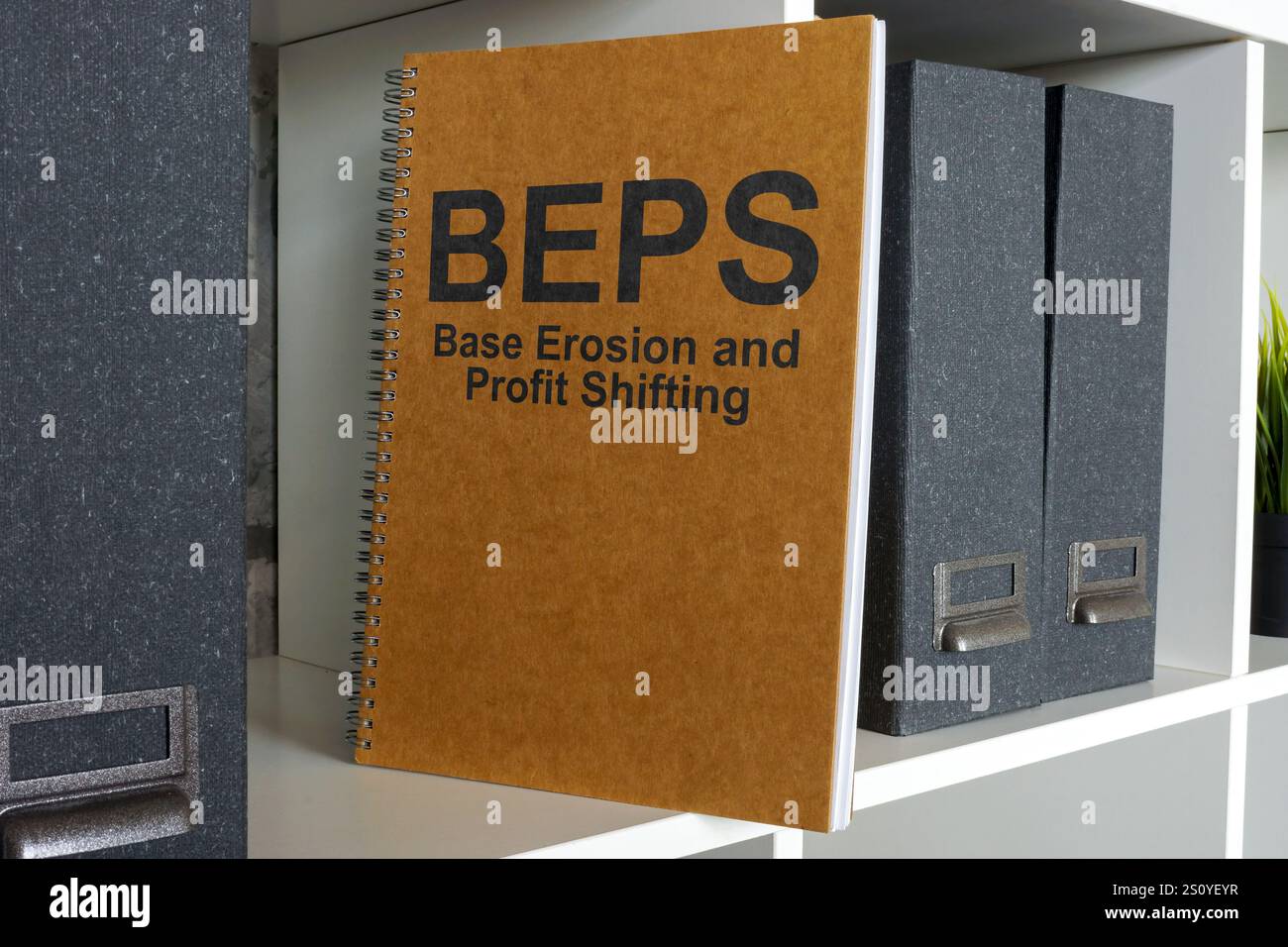 Book titled BEPS Base erosion and Profit Shifting Stock Photo - Alamy