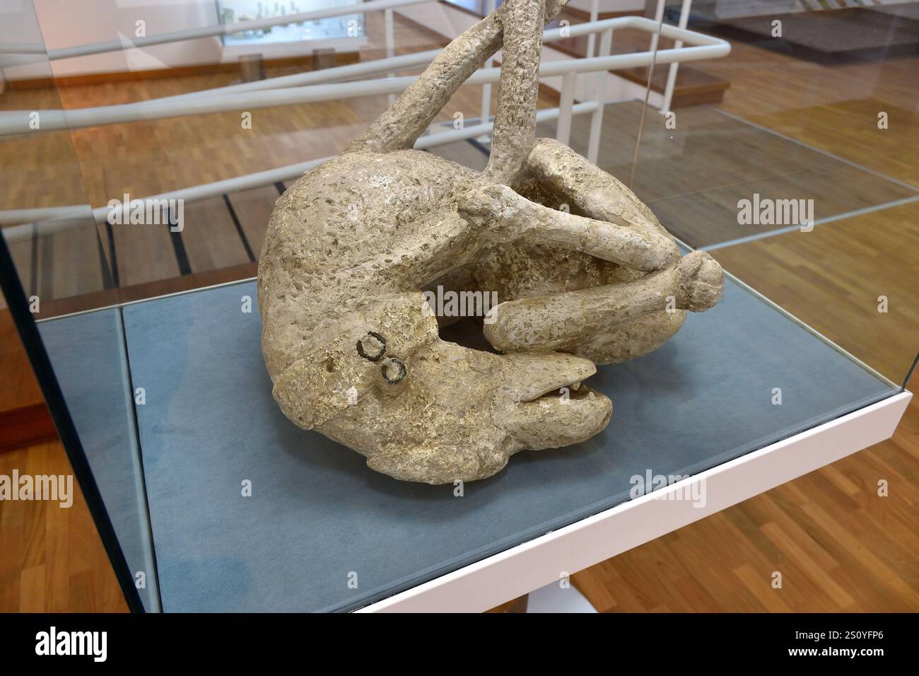 Villa Regina and Museum in Boscoreale Stock Photo - Alamy