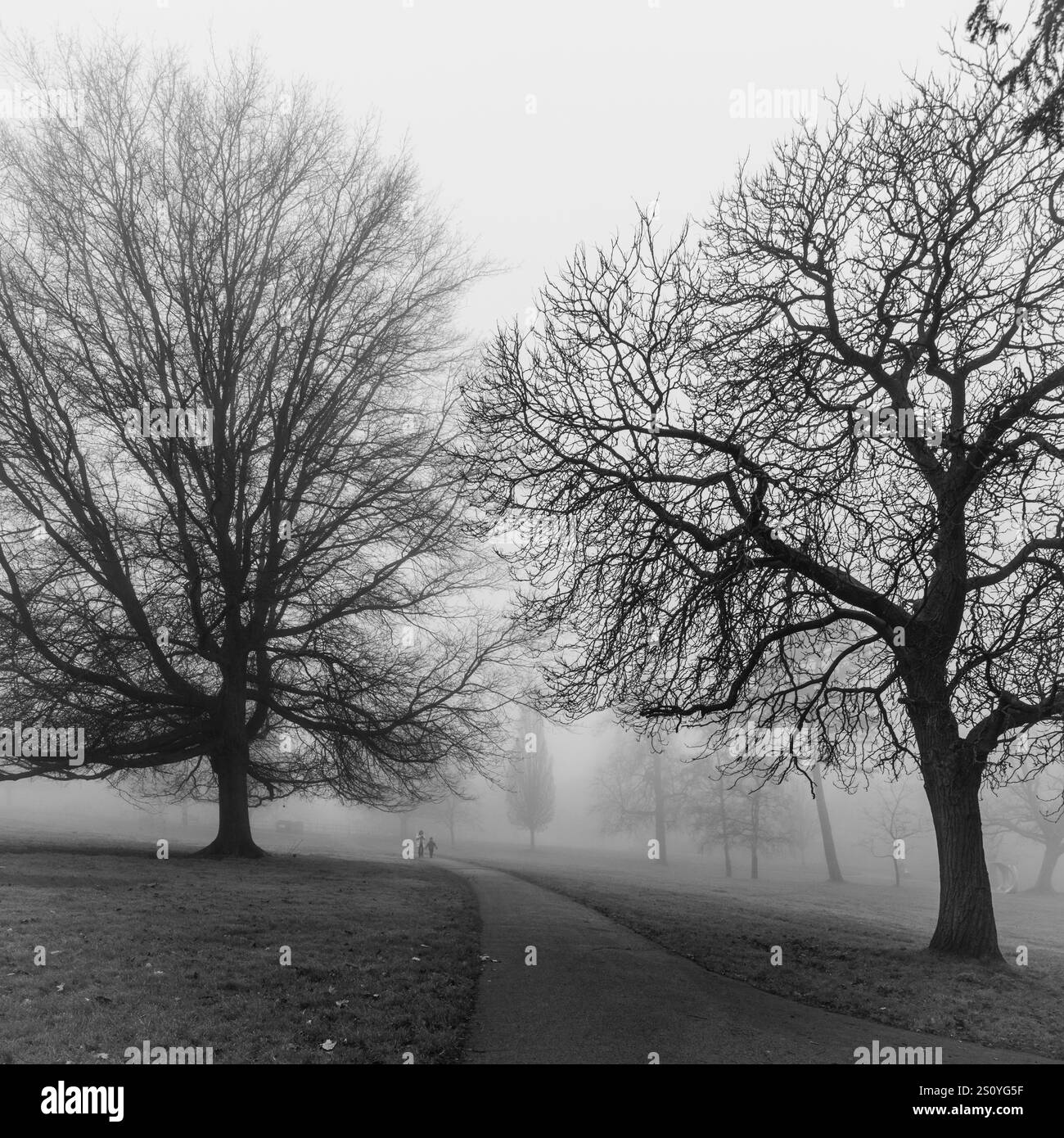 Dense thick fog on Black and White Stock Photos & Images - Alamy