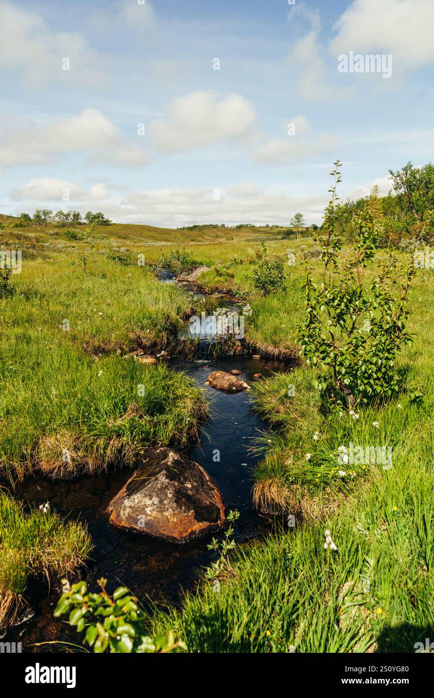 Stream flowing through meadow hi-res stock photography and images - Alamy