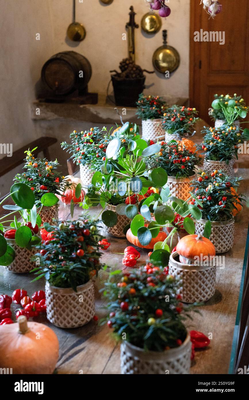 the kitchen 'la cuisine' at the world-famous 'Ladies chateau ...