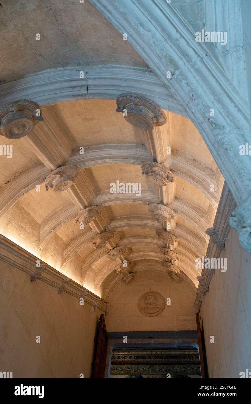a vaulted ceiling at the world-famous 'Ladies chateau', chenonceau in ...