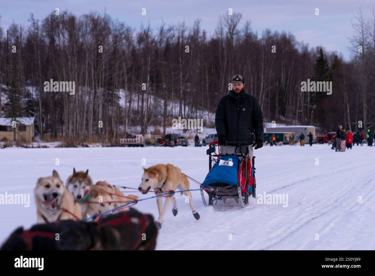 Alaska's Sled Dog Race Keeps Traditions Alive Stock Photo - Alamy
