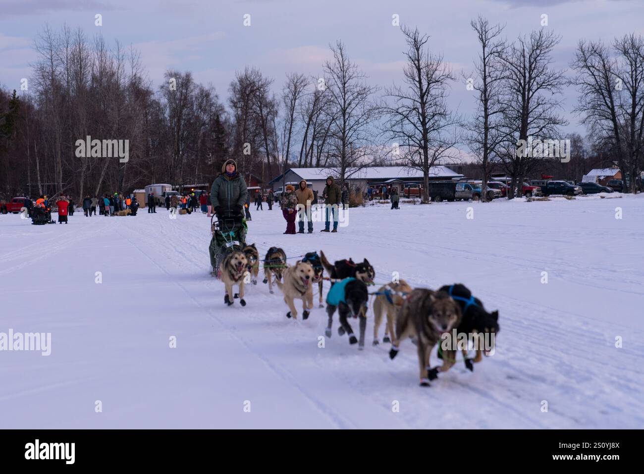 Alaska's Sled Dog Race Keeps Traditions Alive Stock Photo - Alamy