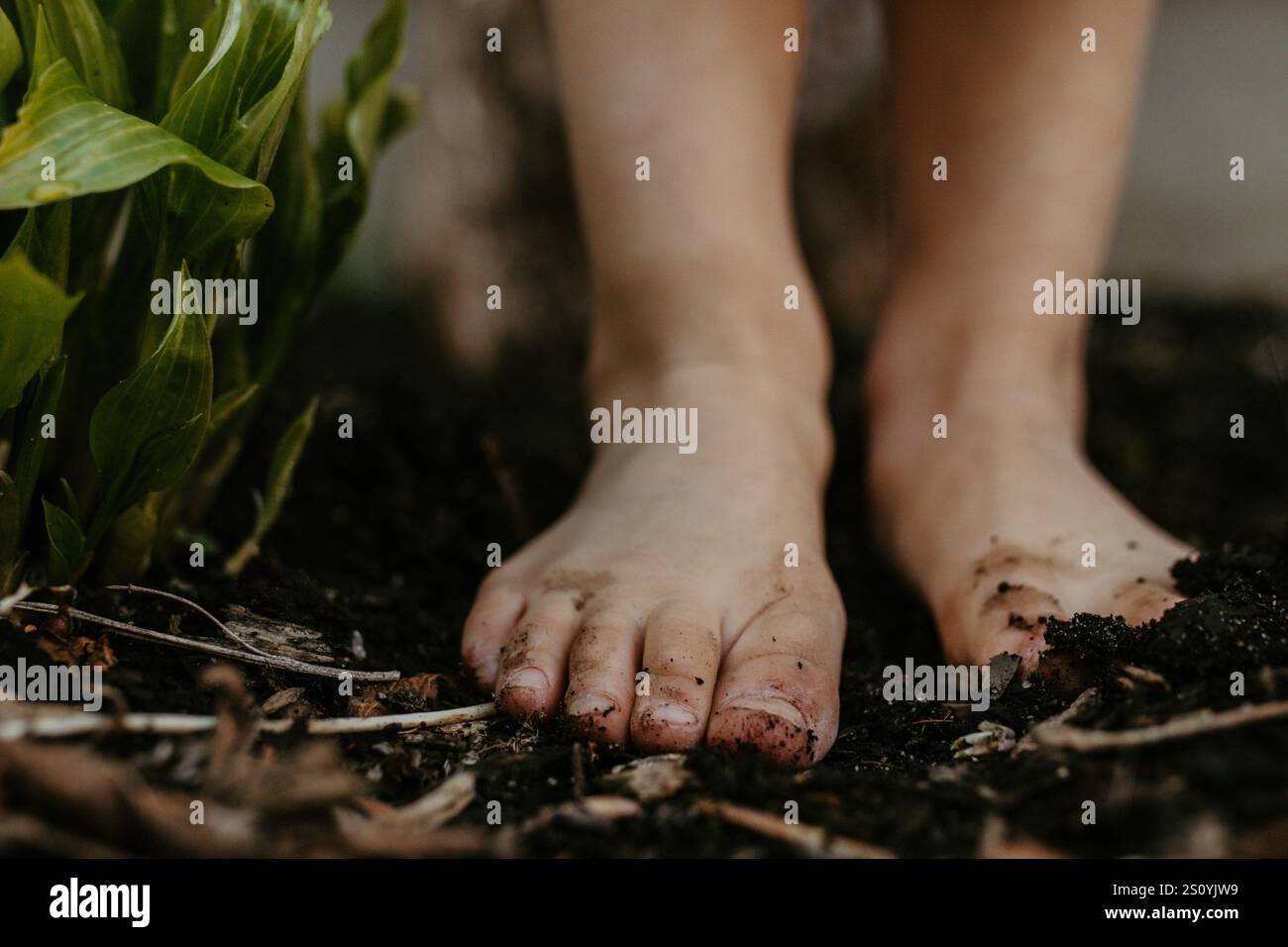 Feet in soil earthing and grounding energy Stock Photo - Alamy