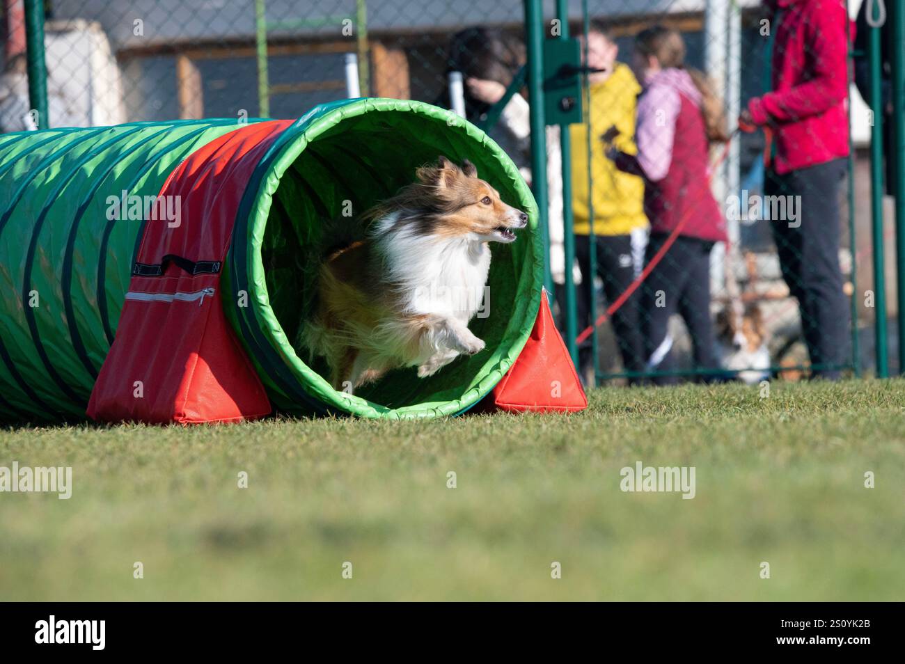 Fitness competitions hi-res stock photography and images - Alamy