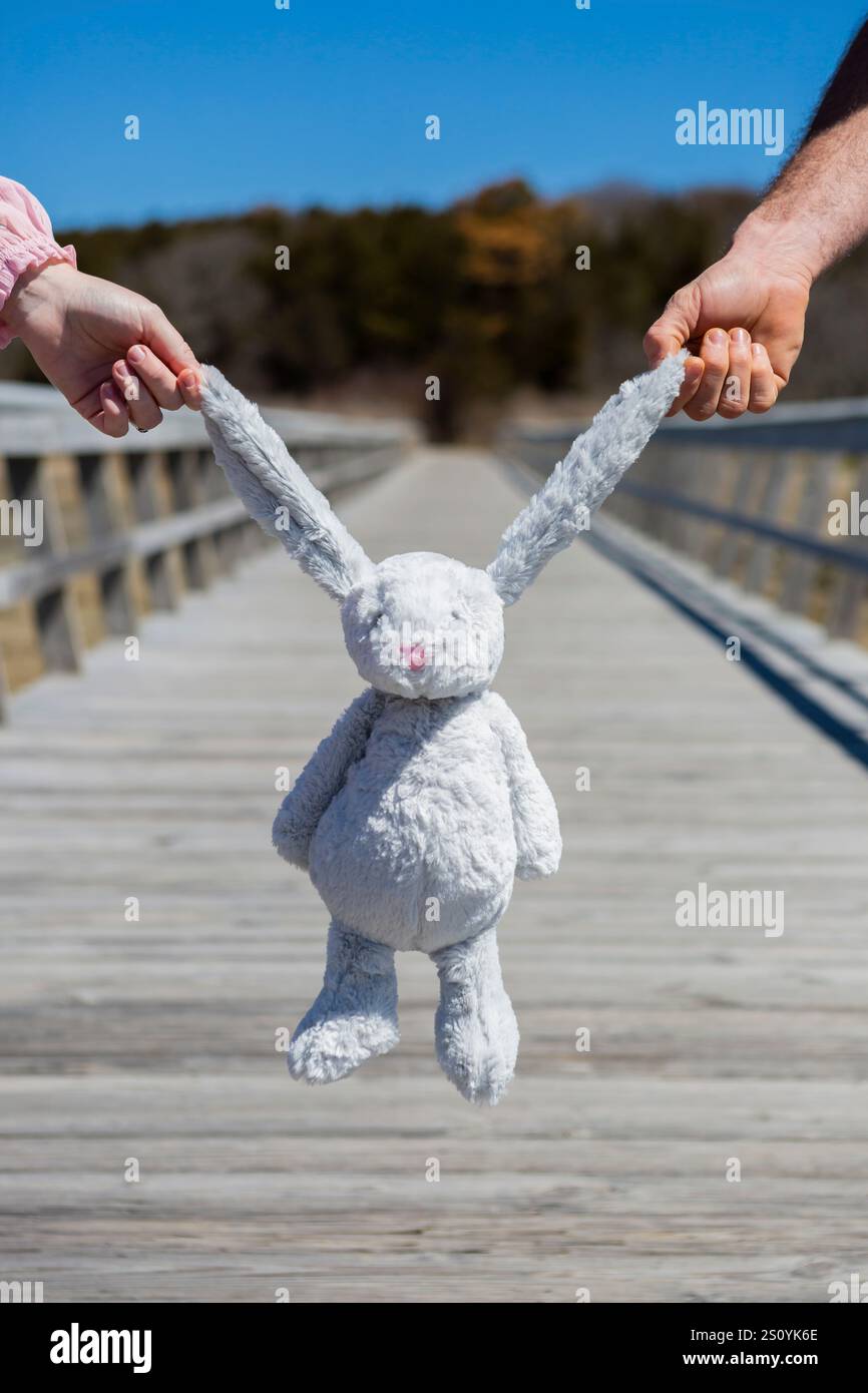 Soon to be parents hold future daughters stuffed bunny by the ea Stock ...