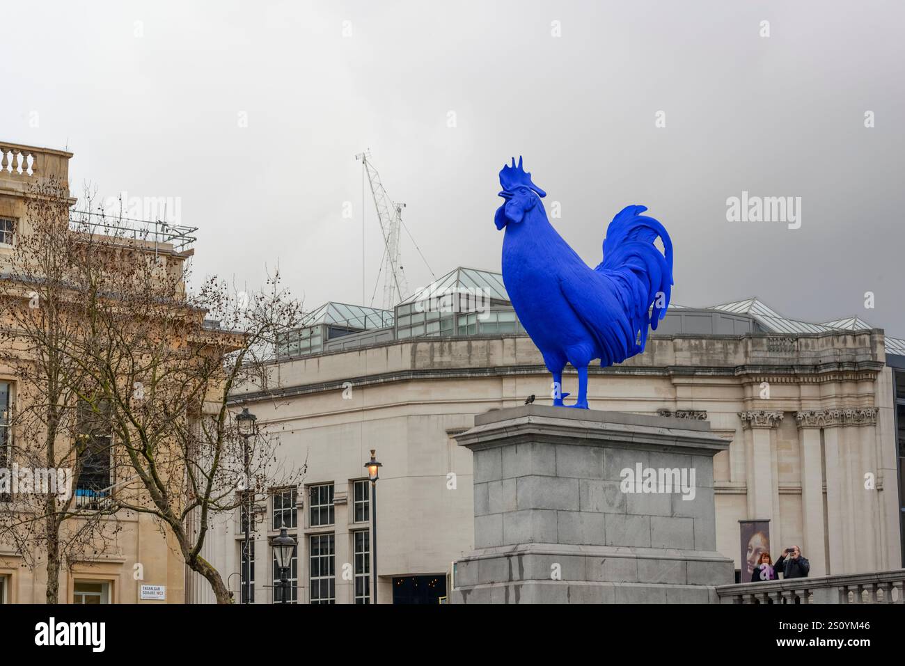 Blue Cockerel by artist Katharina Fritsch on the fourth plinth ...