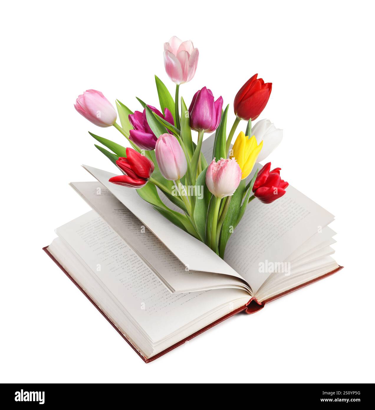 Open book with beautiful flowers between pages on white background ...