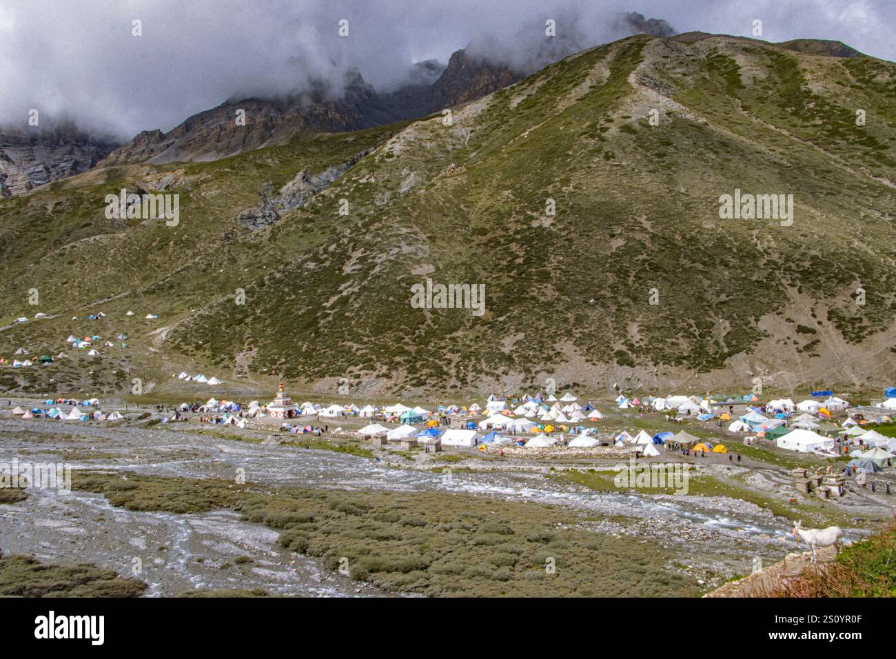 Tents erected for Pilgrims of Shey Festival called Shelri Dugdra ...