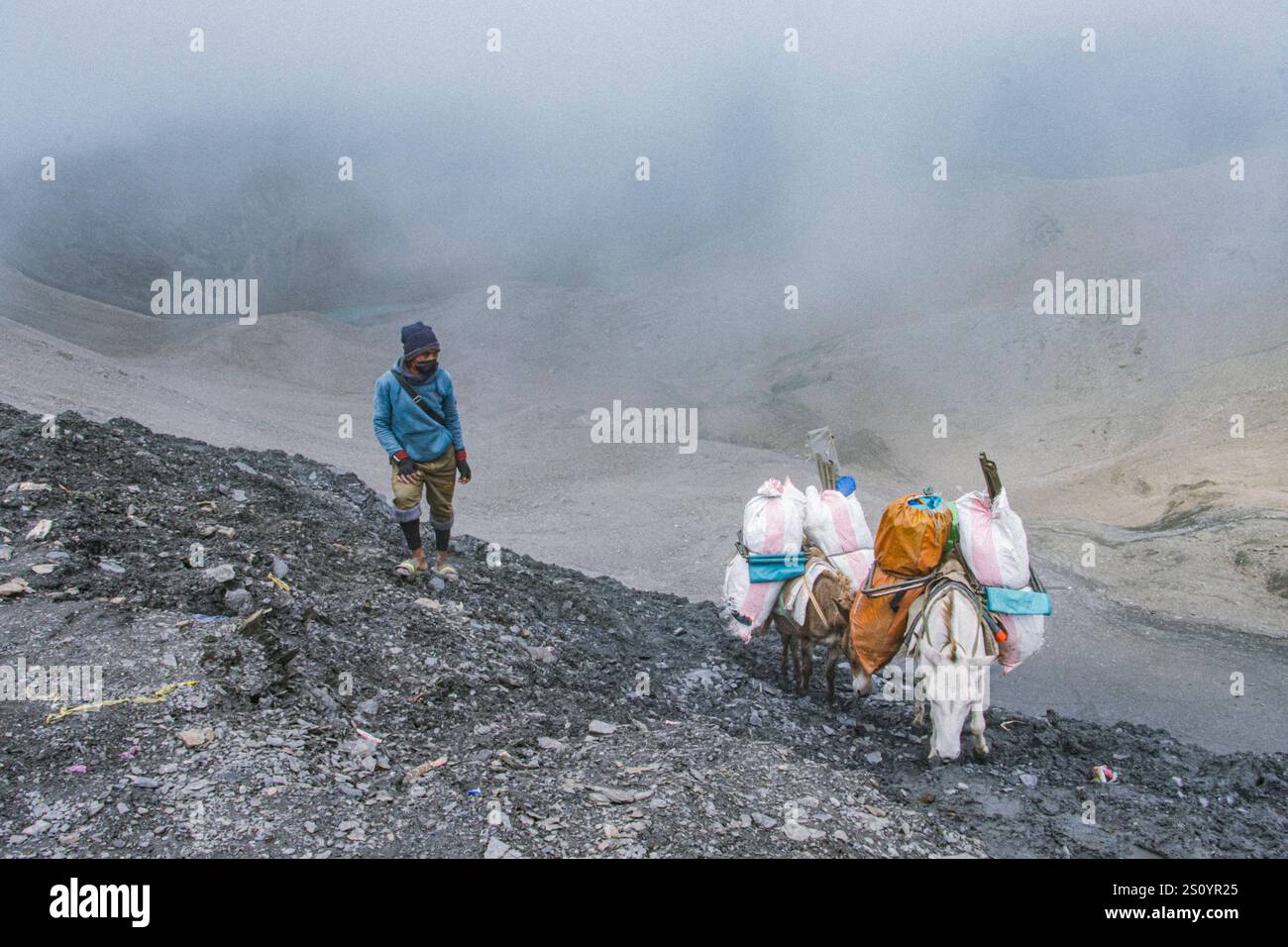 Mule Caravan below Ngadala Pass (5300 m) heading to Shey Festival ...