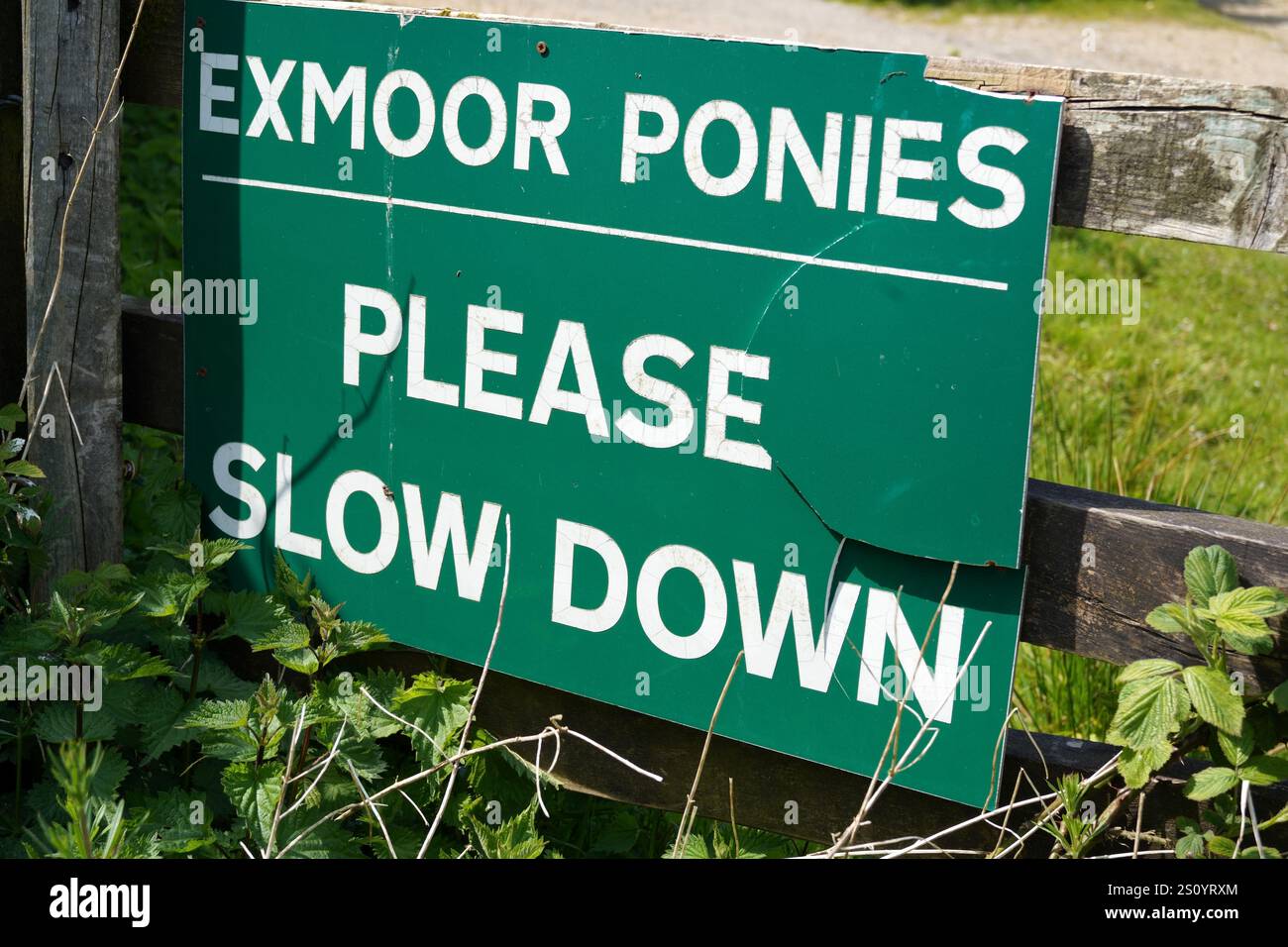 Road Sign Please Slow Down Due To Exmoor Ponies, Exmoor National Park ...