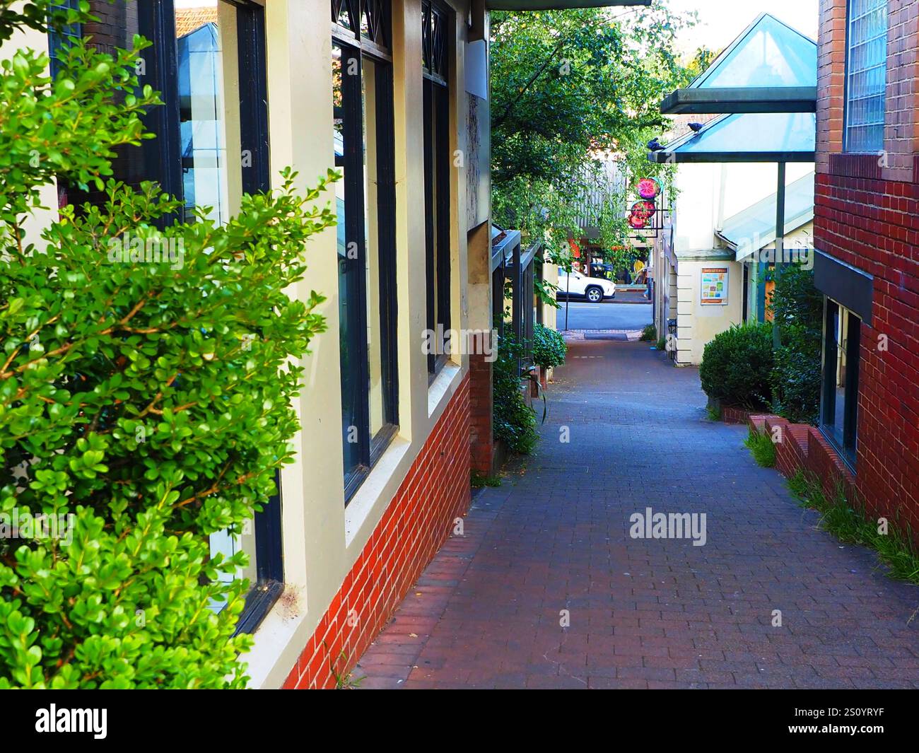 A charming brick-paved alley with lush greenery and colorful buildings ...