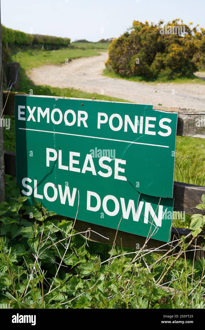 Road Sign Please Slow Down Due To Exmoor Ponies, Exmoor National Park ...
